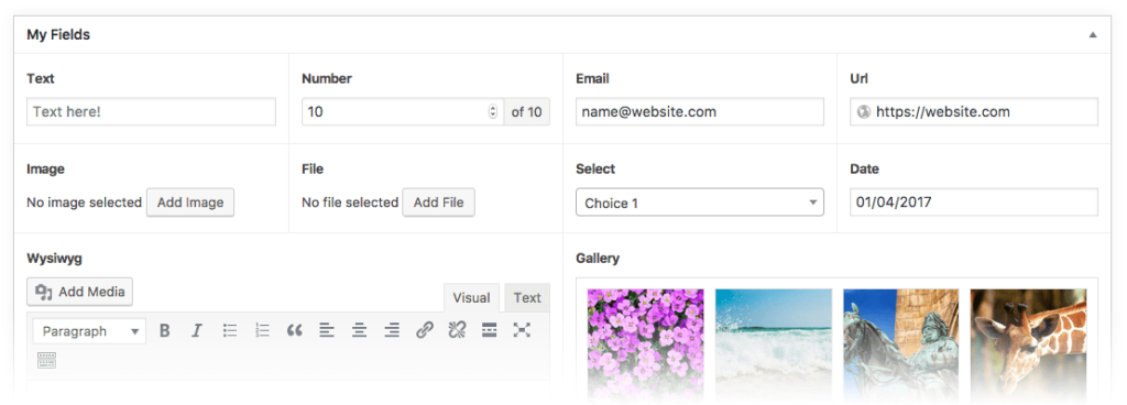 Advanced Custom fields Pro (ACF) bản quyền | Giá rẻ từ 135k