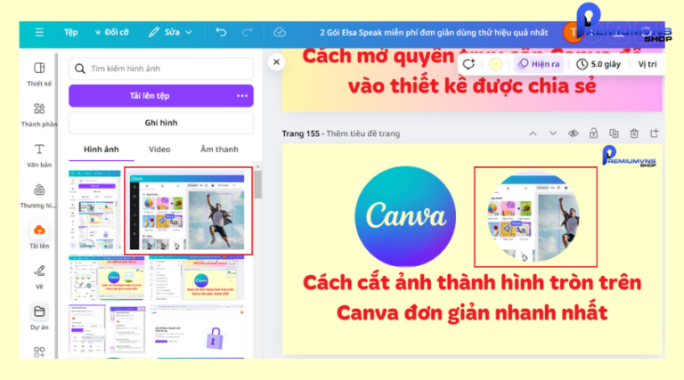 Cách cắt ảnh thành hình tròn trên Canva đơn giản nhanh nhất